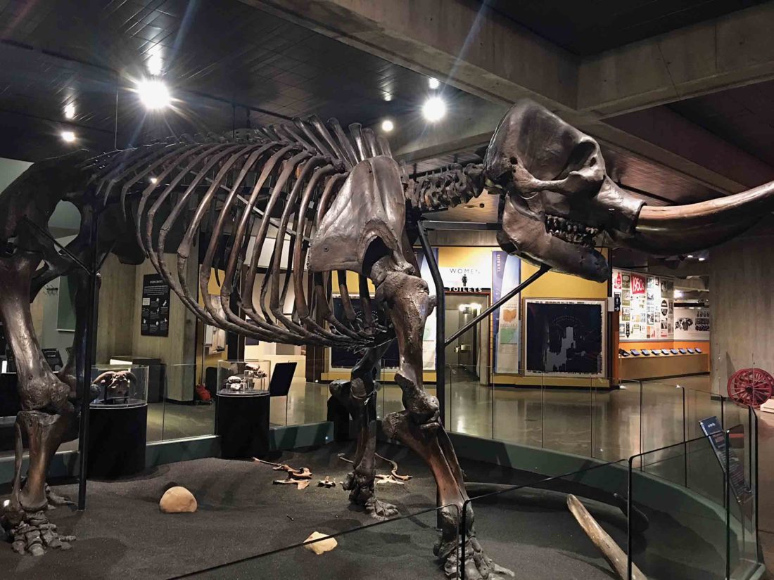 Two-hour Trips From the MOV: Columbus offers Ohio history museum ...